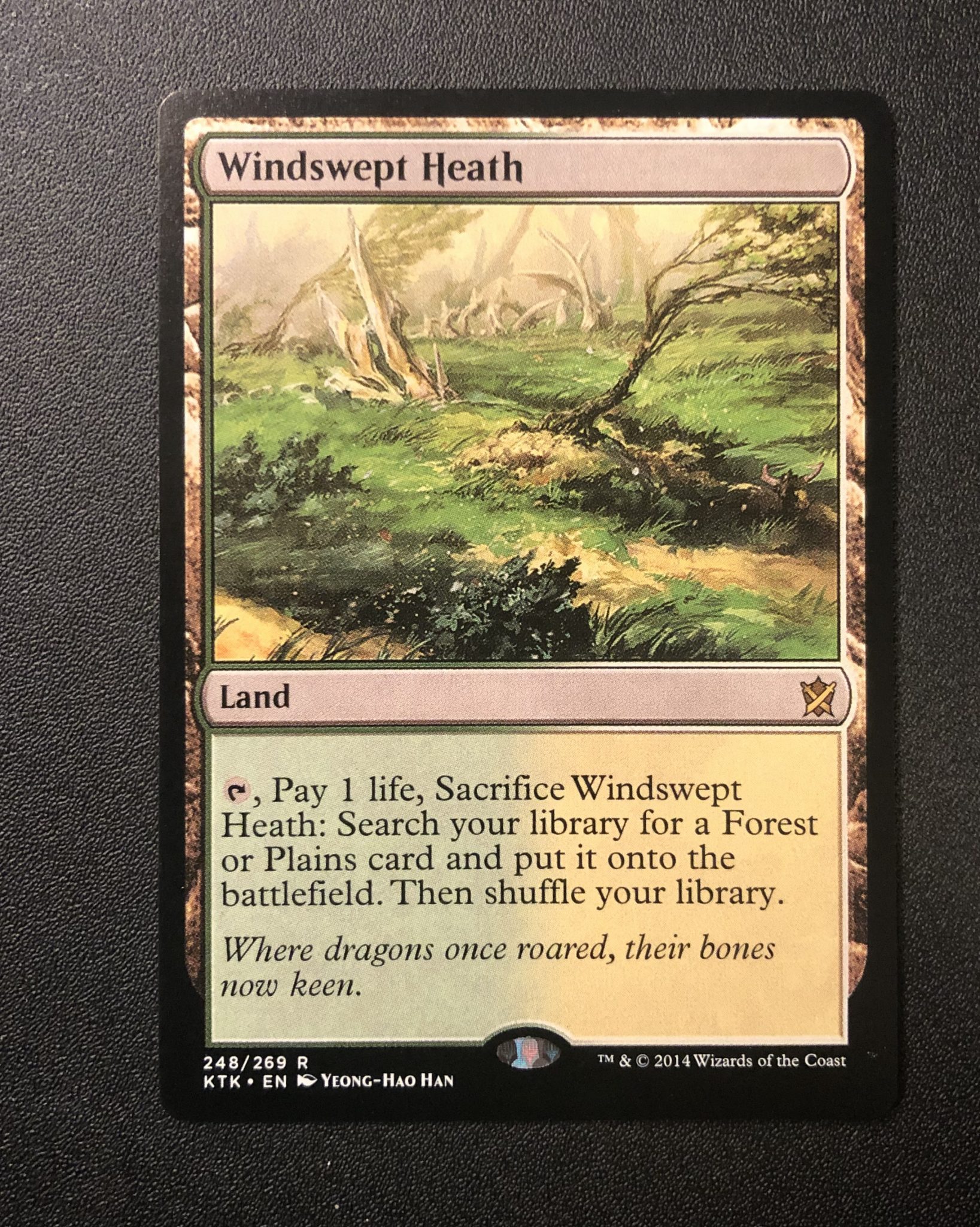 Windswept Heath - MtG Khans - Proxy King