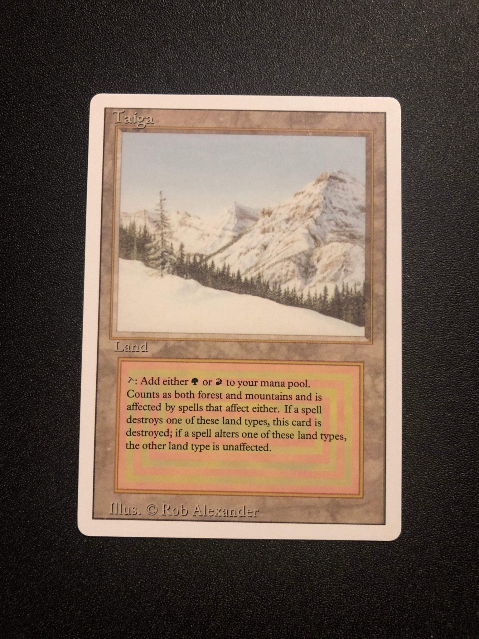 Taiga - MTG Proxy Revised - Proxy King